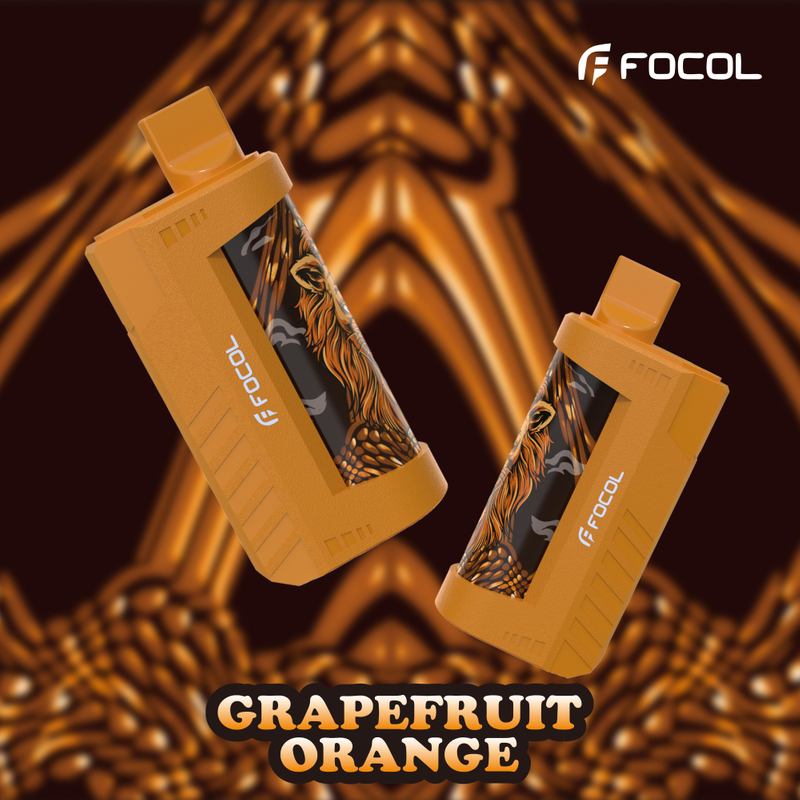 Focol Bars 5% Nicotine Disposable Vape 5000 Puffs from China ...